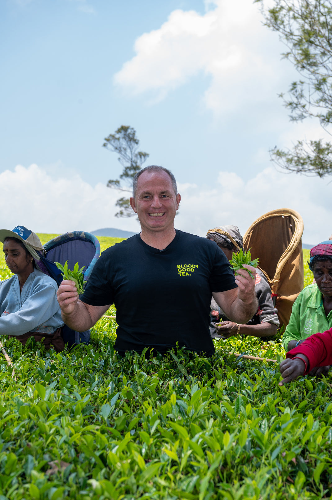 The Chanui Story | New Zealand's Tea